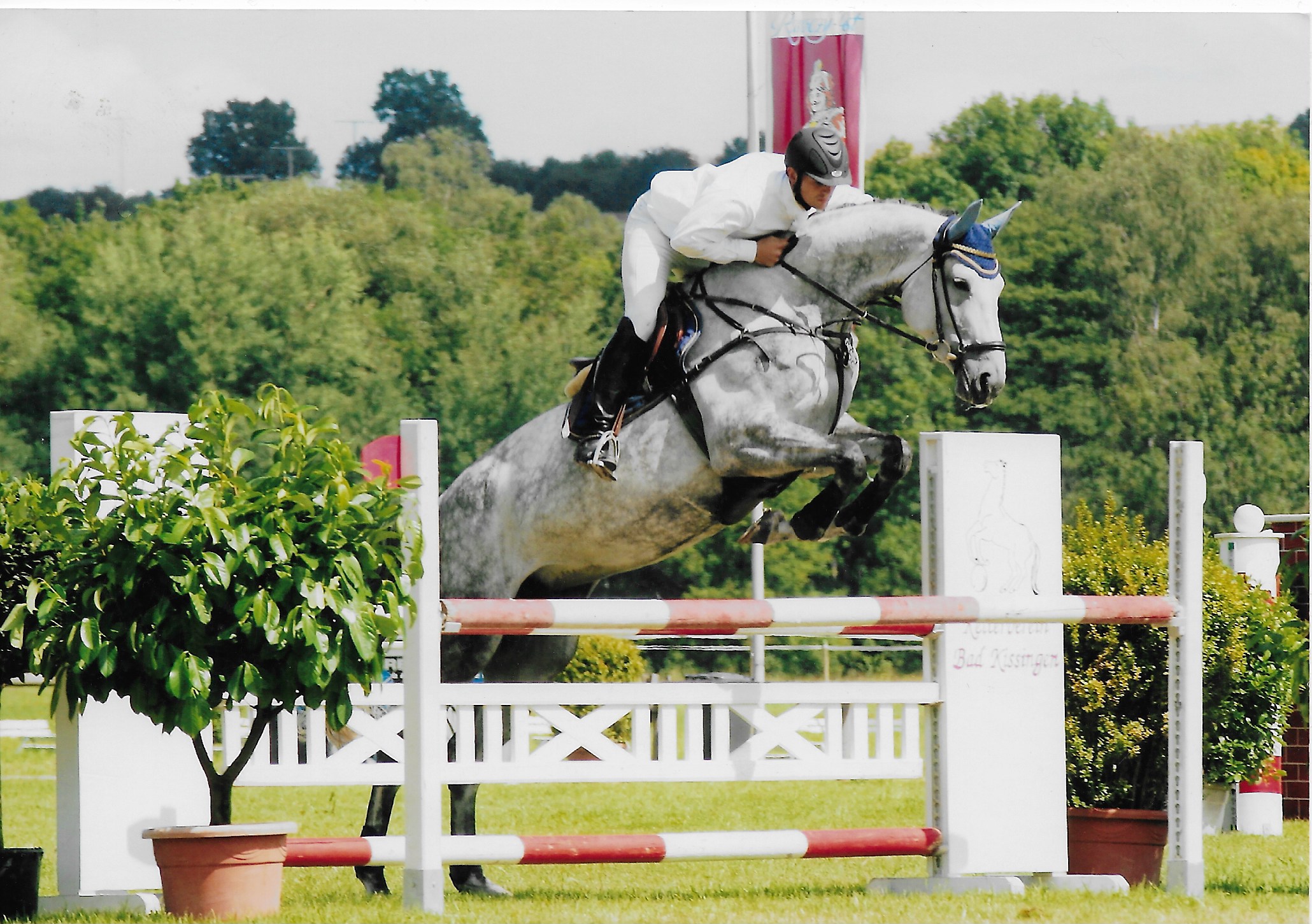 Springpferde - Stall Distel - Distel-Pferde.de