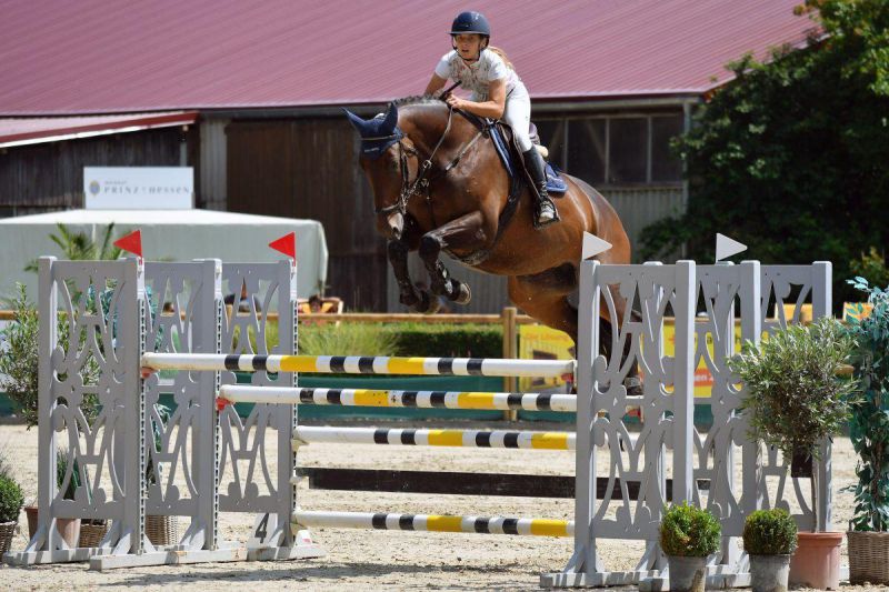 Springpferde - Stall Distel - Distel-Pferde.de